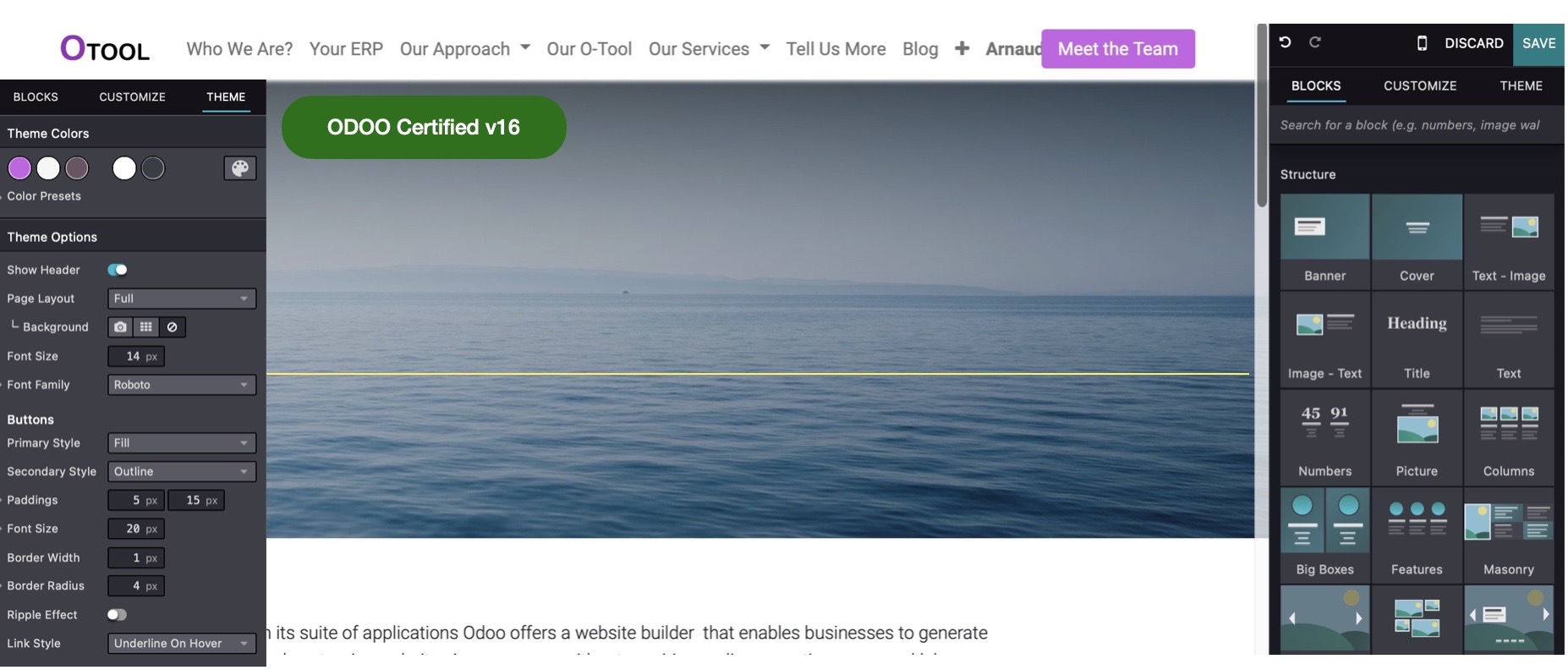 MY WEBSITE WITH OTOOL | ODOO V17